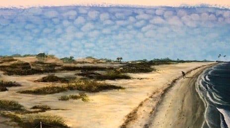 Sneak peek at WoW exhibit art - SANIBEL-CAPTIVA - Island Reporter ...